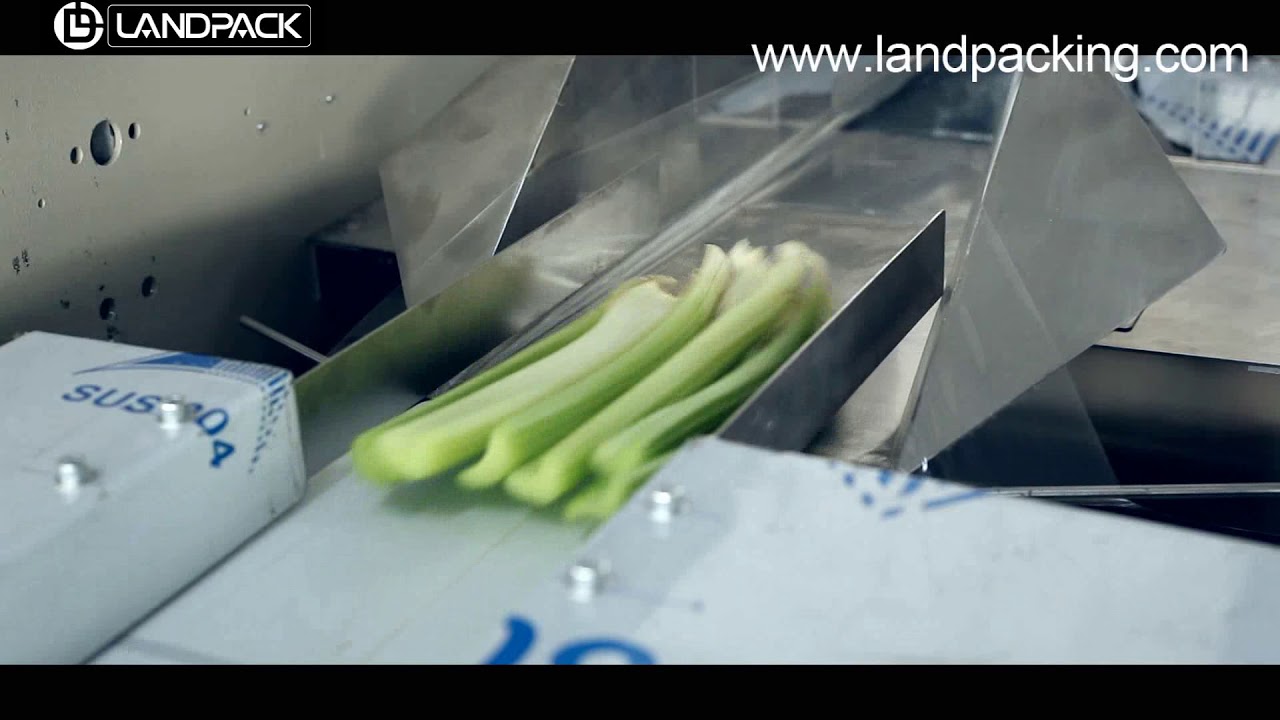 "Revolutionary Fruit and Vegetable Packaging Machine: Unparalleled ...