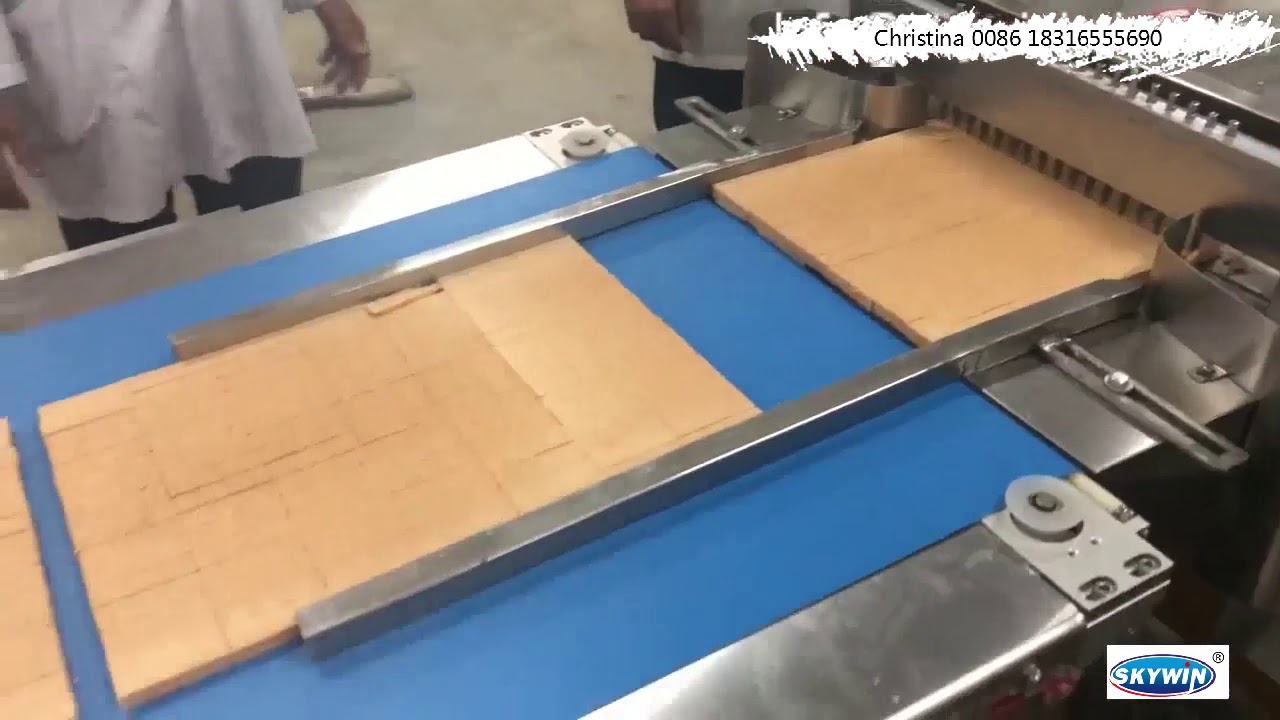 "Revolutionary Wafer Line and Packing System: Unleashing Innovation for ...