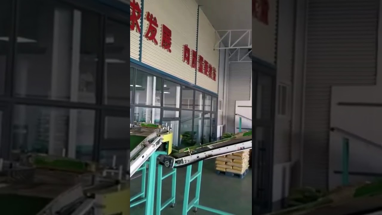 Rice Bagging and Truck Loading Machine - CUSTOMIZED WRAPPING SOLUTIONS