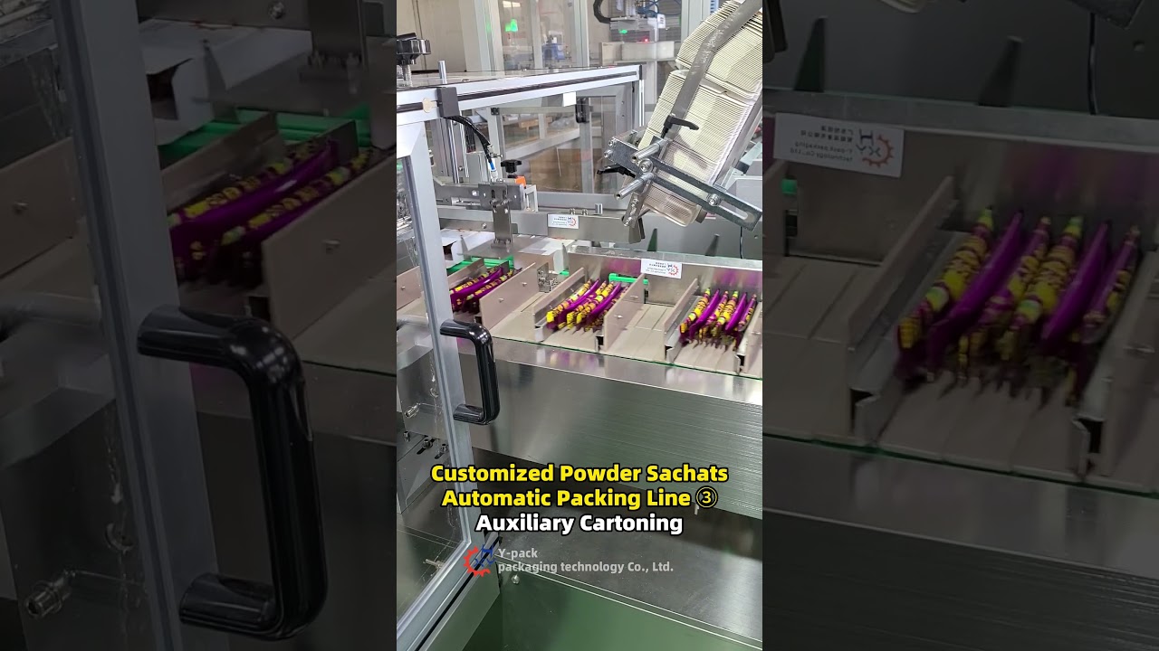 "Innovative Auxiliary Cartoning for Customized Powder Sachats ...
