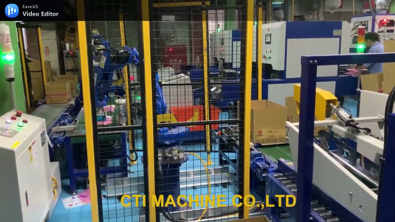 Innovative Vacuum Packaging Line: Fully Automatic Weighing, Bagging, and Carton Packing Solution ...